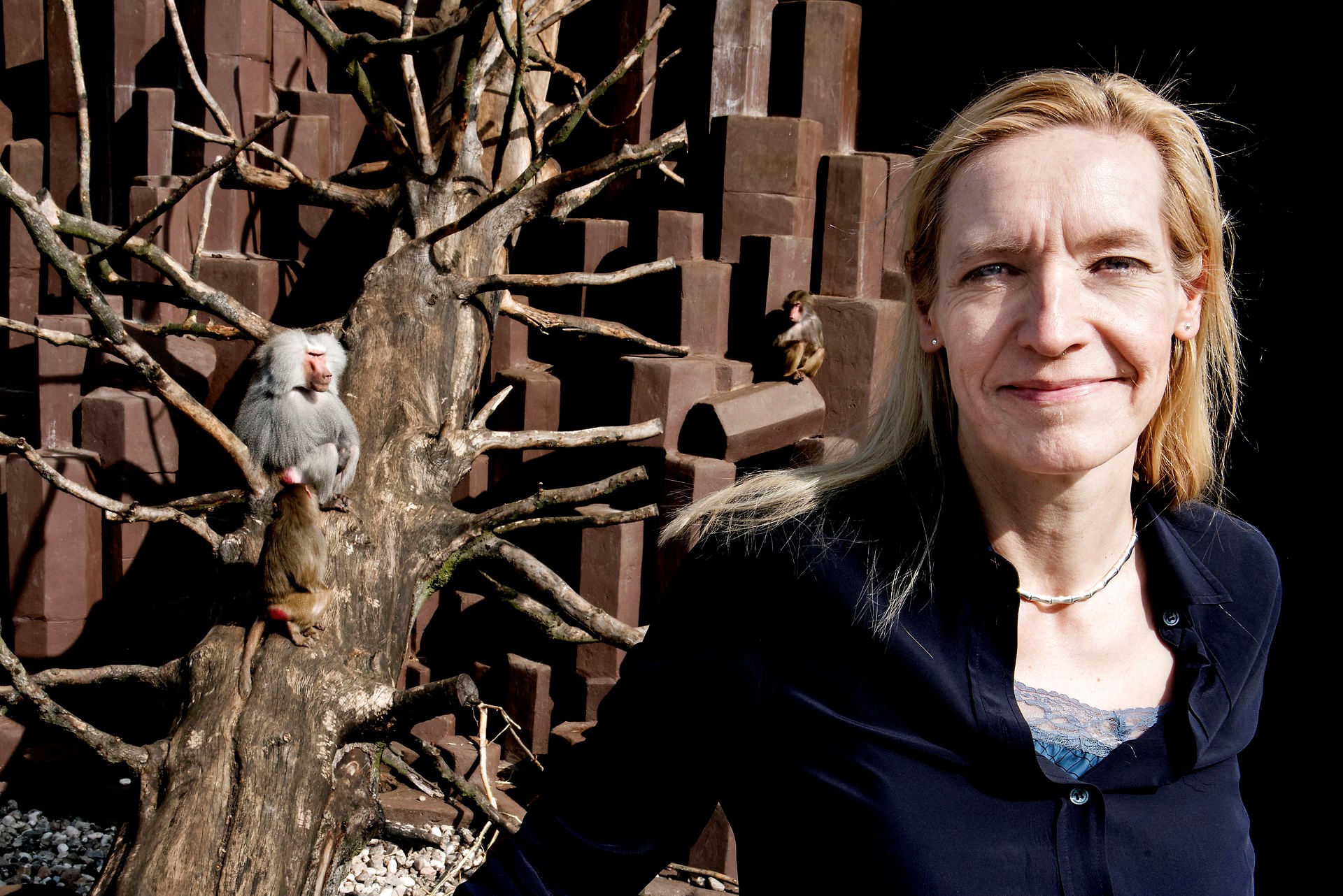 Tvetydig corona-kommunikation: Uvisheden gør os usikre