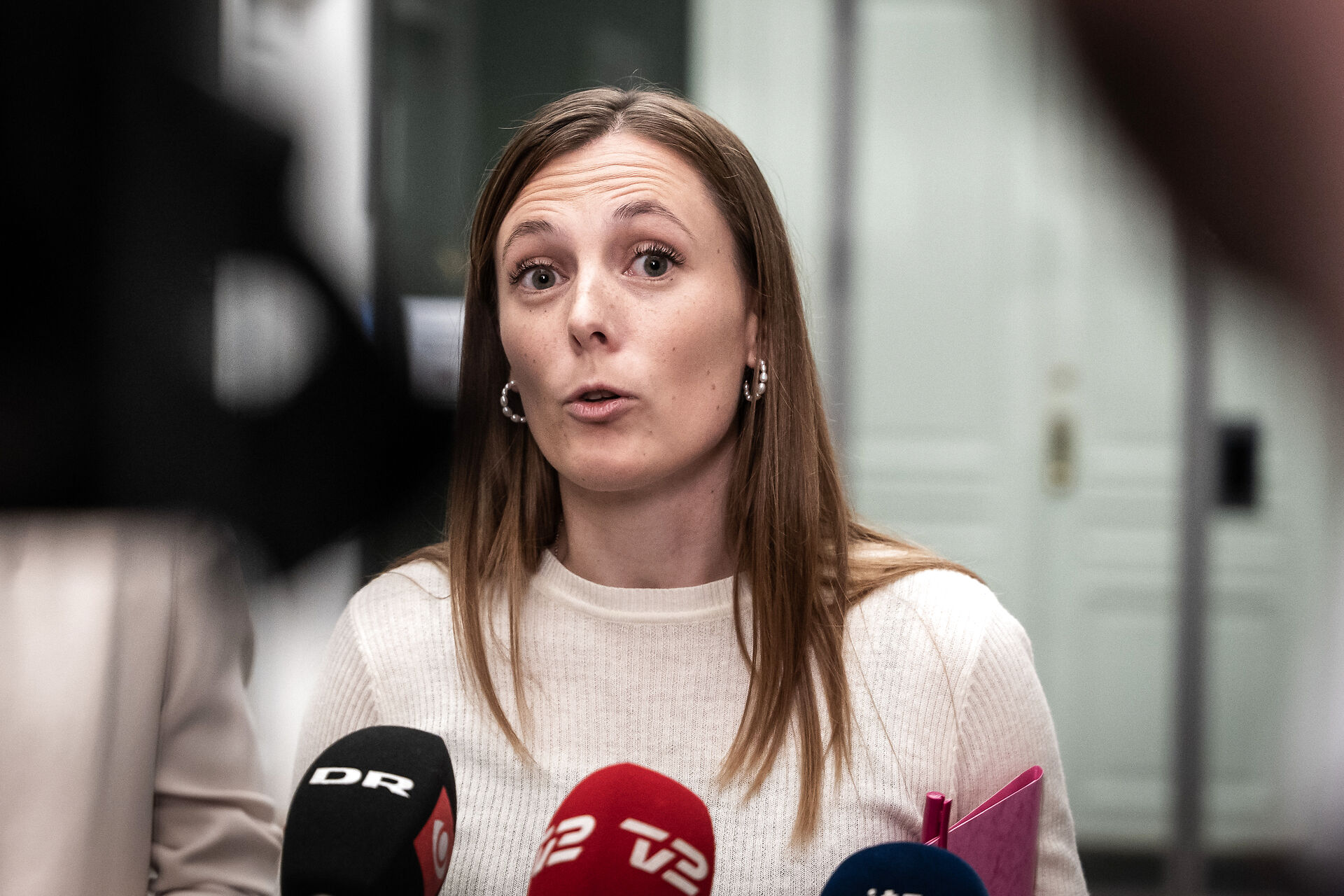 Ny beskæftigelsesordfører for De Radikale