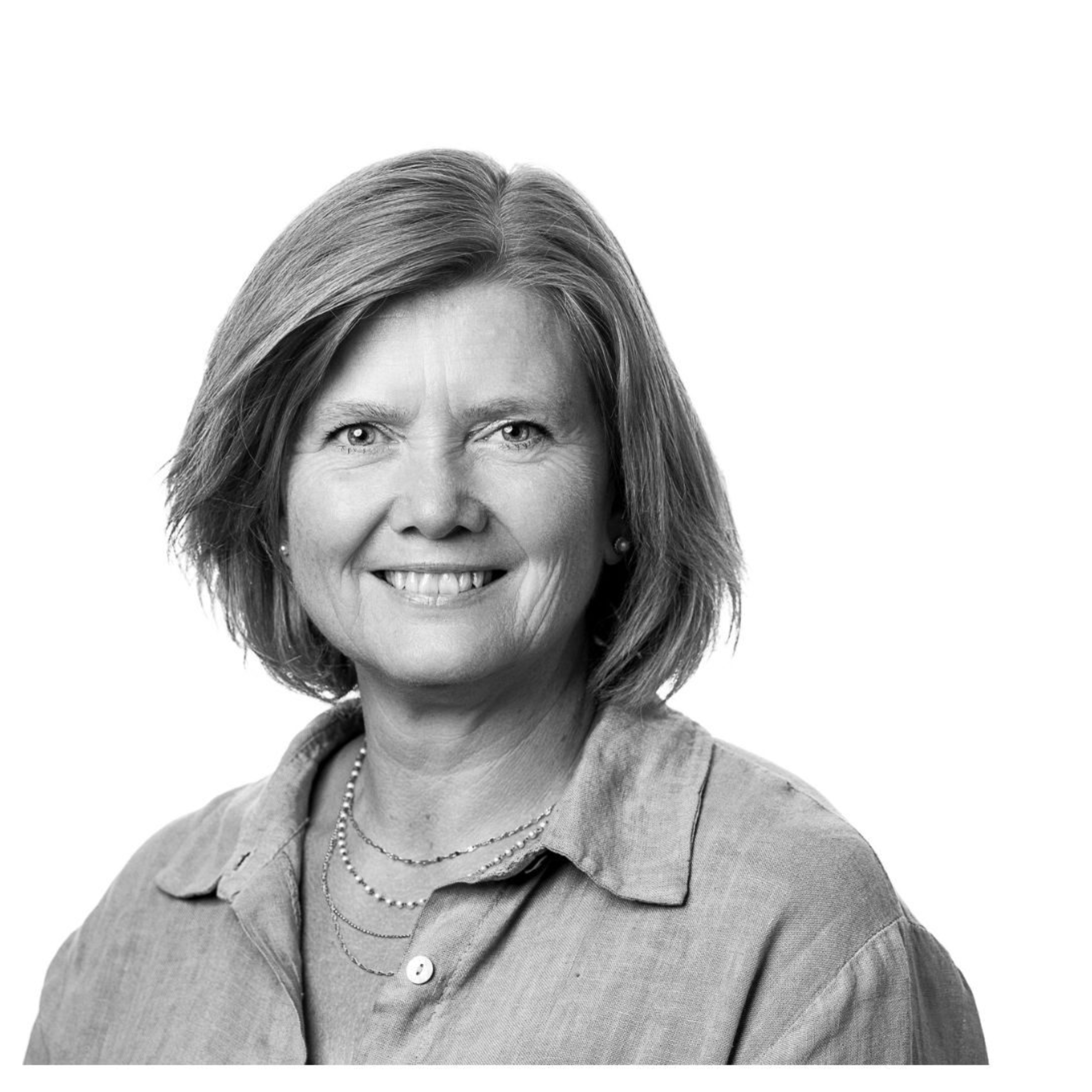 Formand stopper i Danske HF & VUC